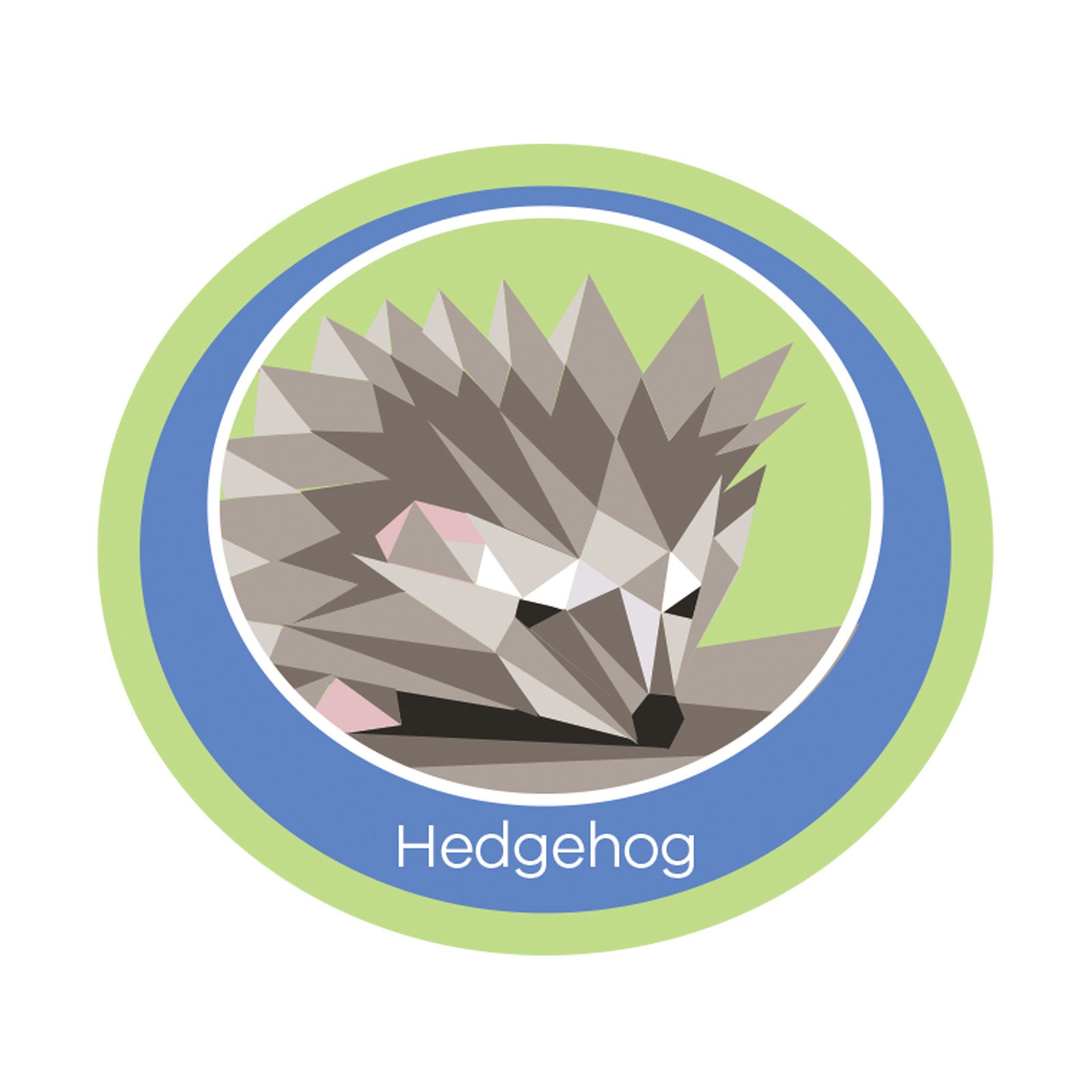 Woven Emblem Badge – Girlguiding North West England Shop